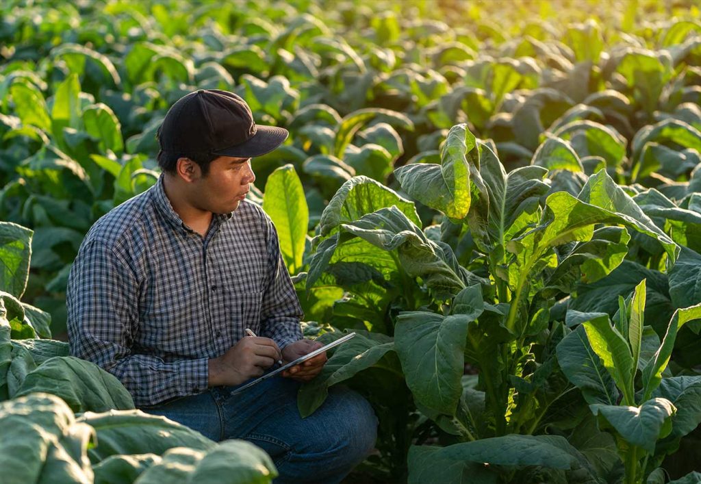 Contract Farming - FarmLogics Technologies Pvt. Ltd