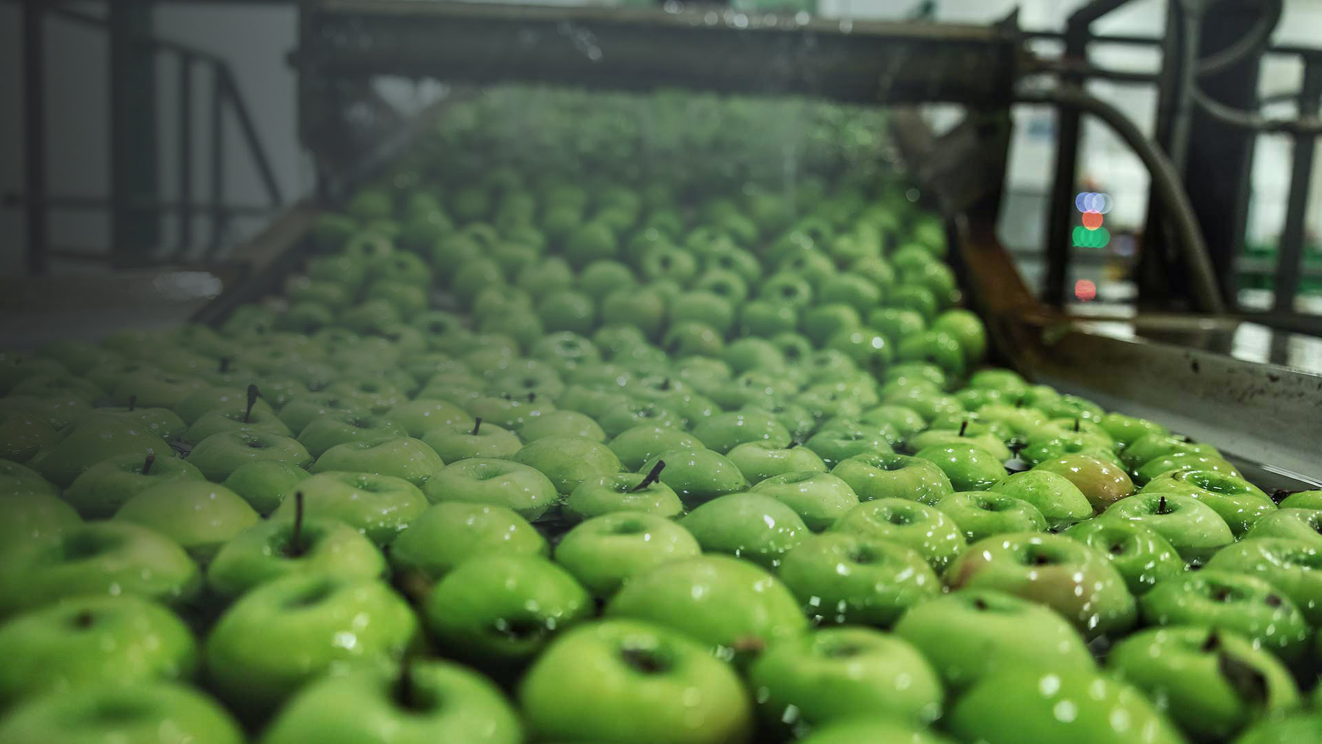 Food Processors - FarmLogics Technologies Pvt. Ltd